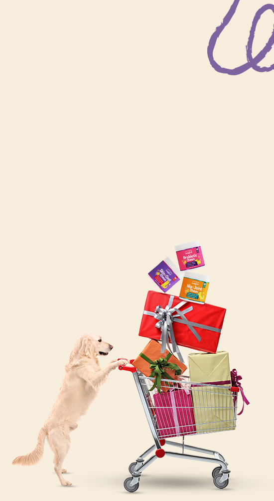 LuckyTail—Tail Waggin' Good Products